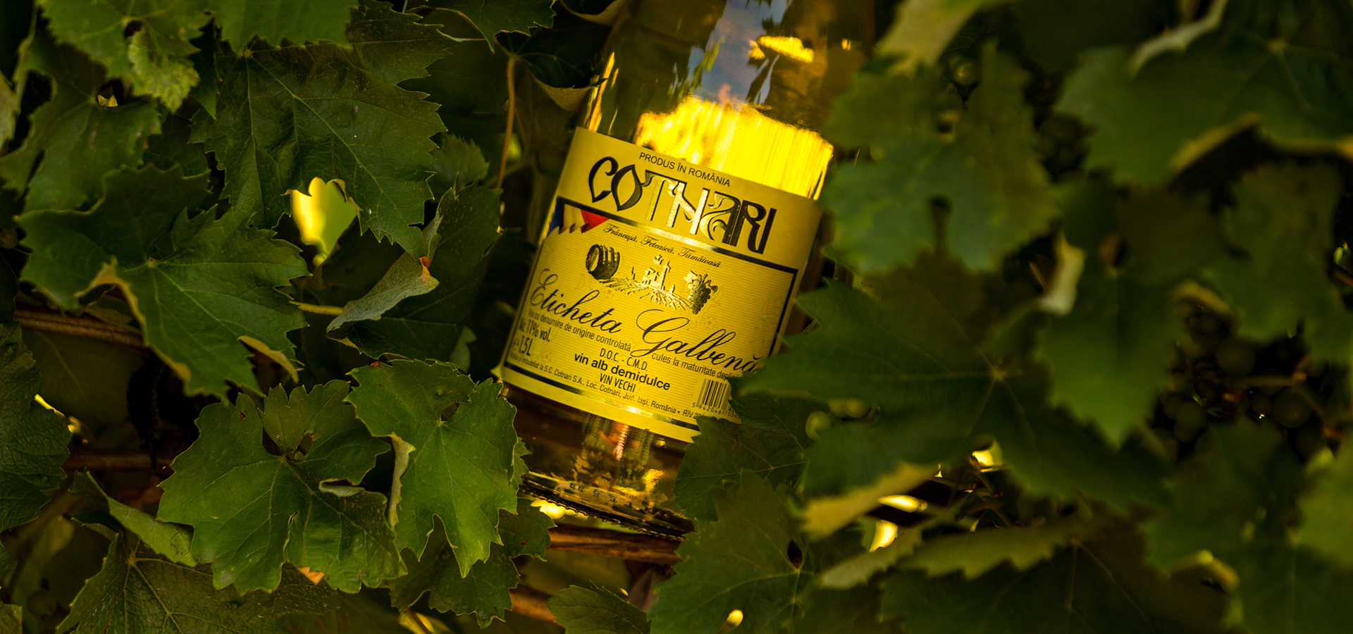 Gama ETICHETĂ GALBENĂ - Vinul de Cotnari, cel mai bun vin romanesc
