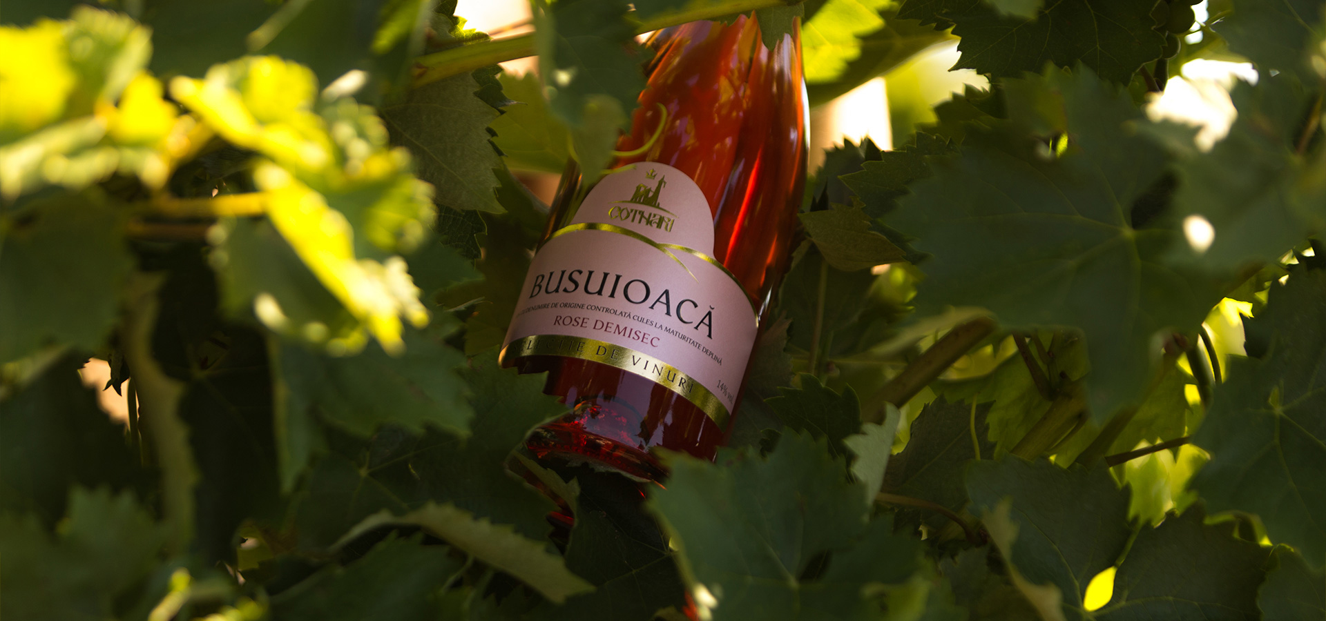 bg-selectii-feteasca-neagra-sec-cotnari - Vinul de Cotnari, cel mai bun ...