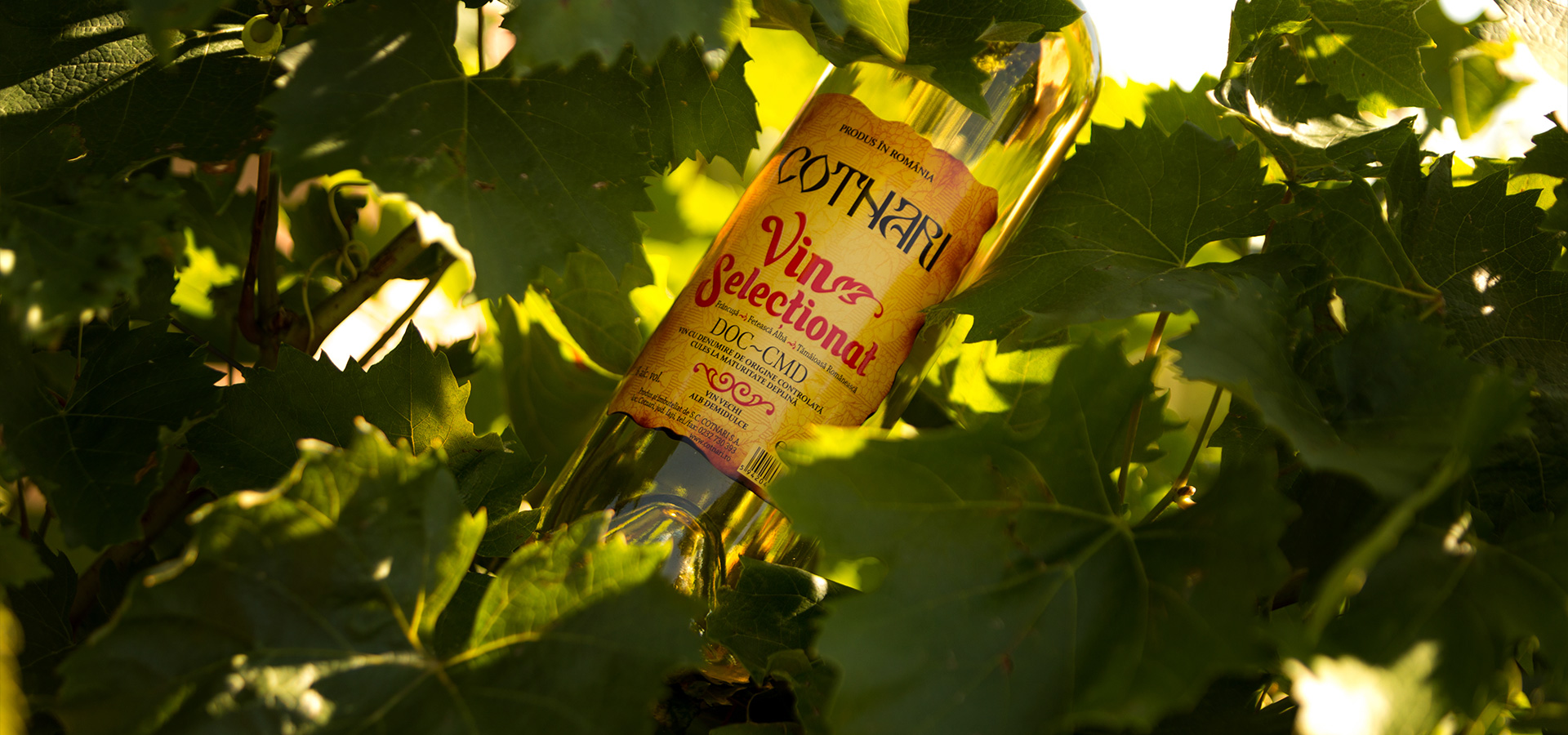 Gama VIN de SPIRIT - Vinul de Cotnari, cel mai bun vin romanesc