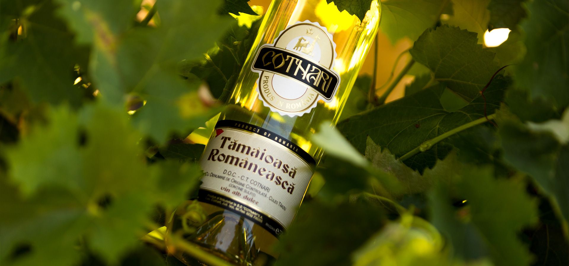 Gama CLASIC - Vinul de Cotnari, cel mai bun vin romanesc