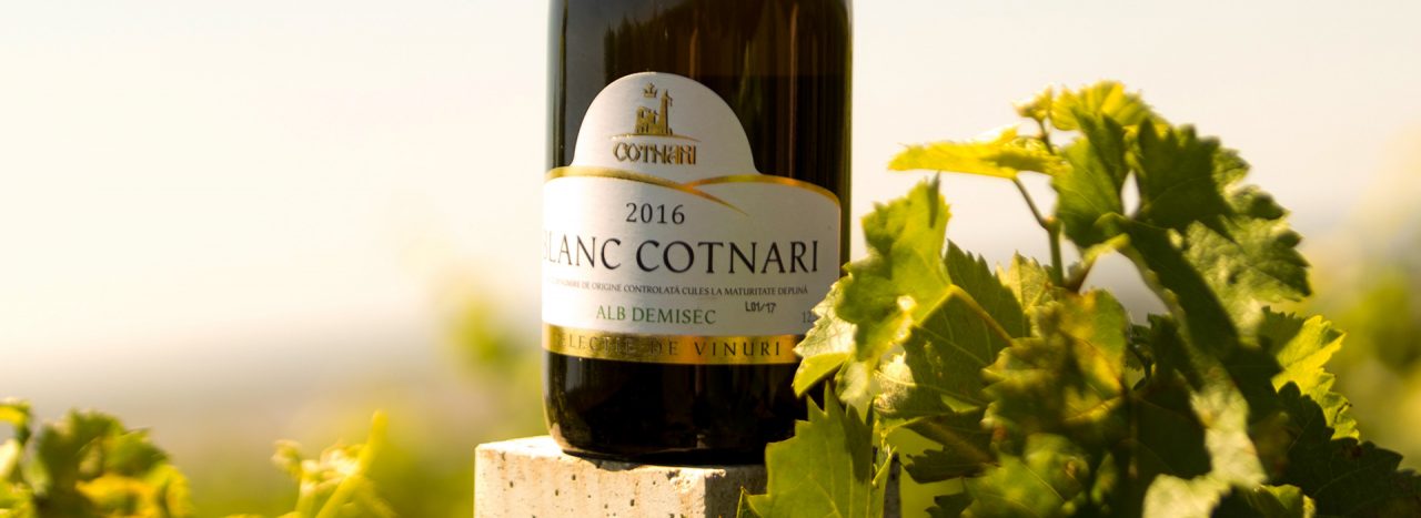 Blanc_cover - Vinul de Cotnari, cel mai bun vin romanesc
