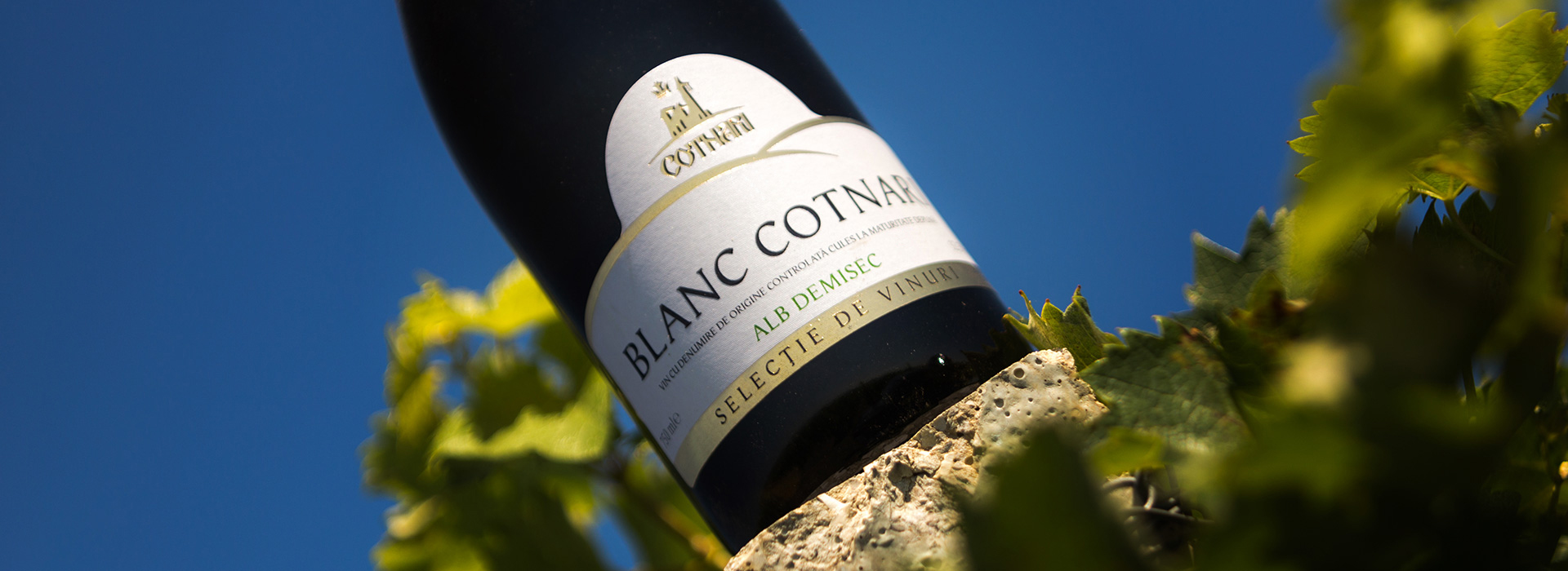 Blanc_cover - Vinul de Cotnari, cel mai bun vin romanesc