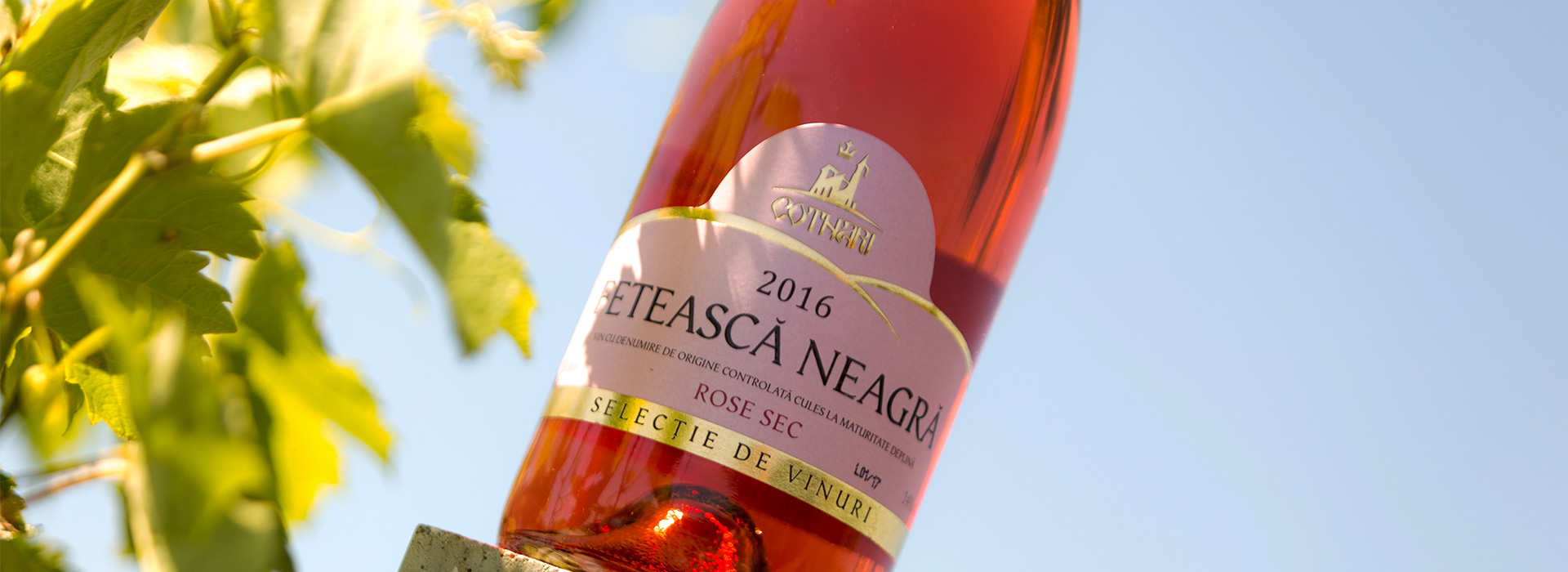 Fn_cover - Vinul de Cotnari, cel mai bun vin romanesc