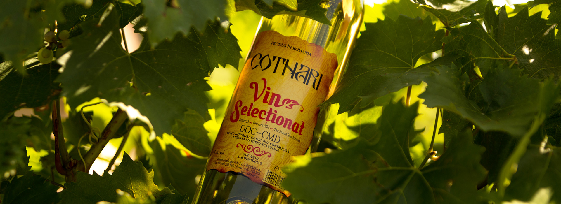 Vin_Selectionat_cover - Vinul de Cotnari, cel mai bun vin romanesc
