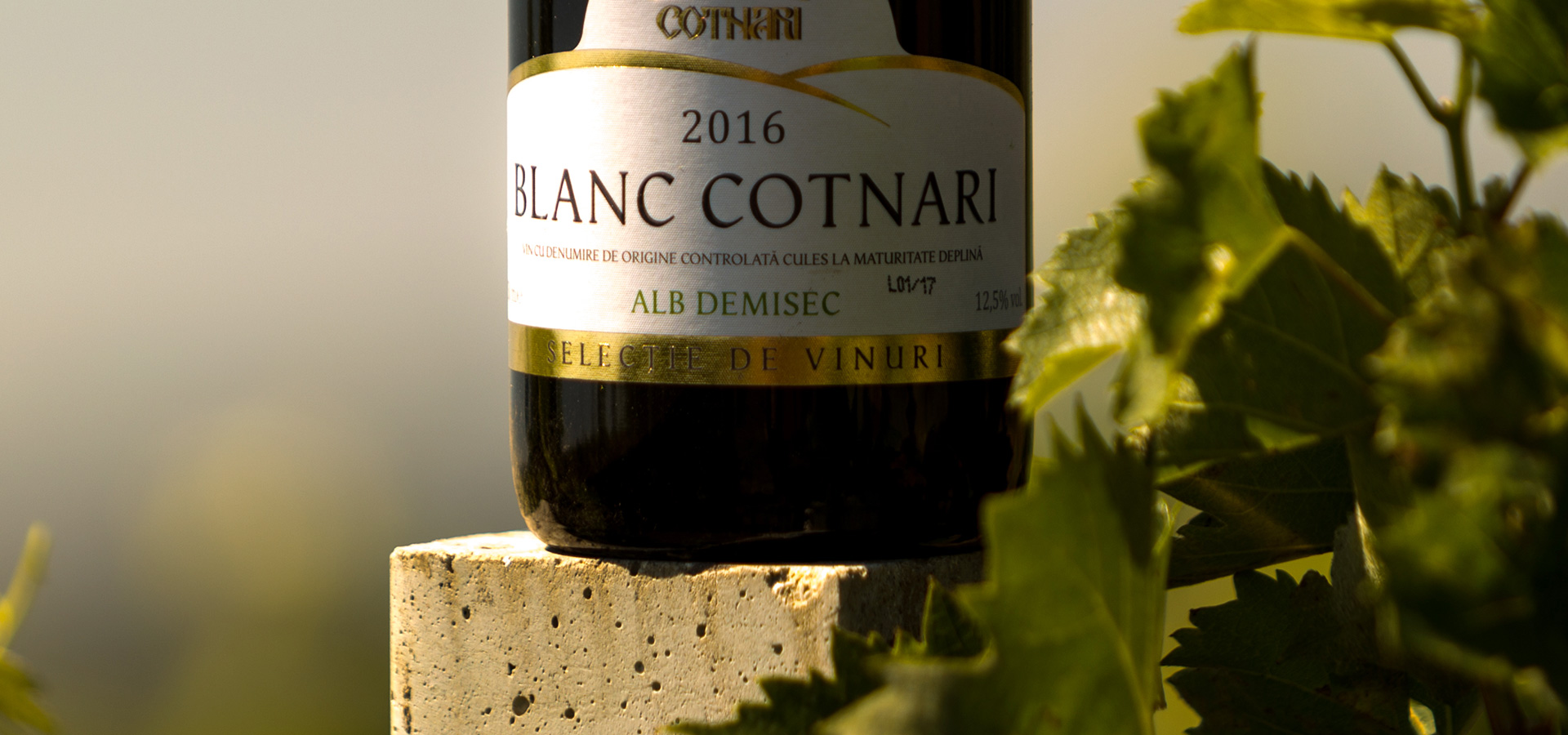 cover_degustare_blancx - Vinul de Cotnari, cel mai bun vin romanesc