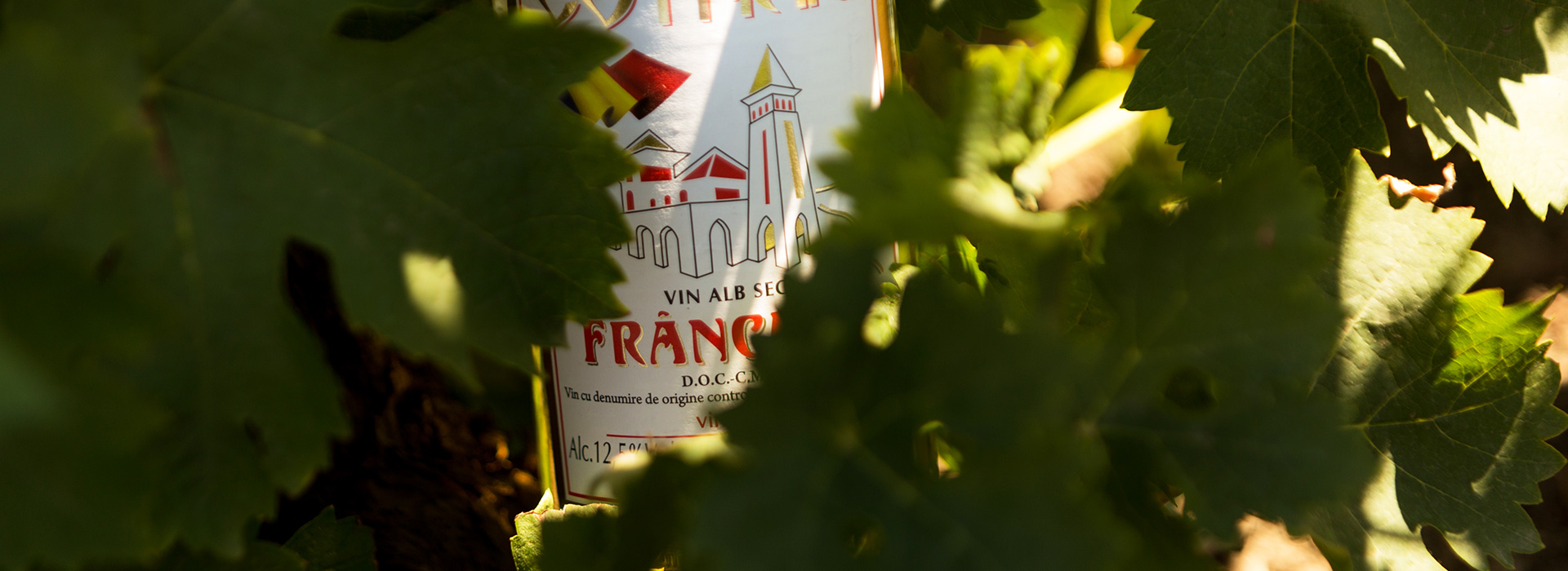 fr_cover - Vinul de Cotnari, cel mai bun vin romanesc