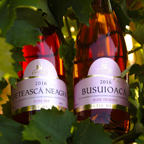 soiuri - Vinul de Cotnari, cel mai bun vin romanesc